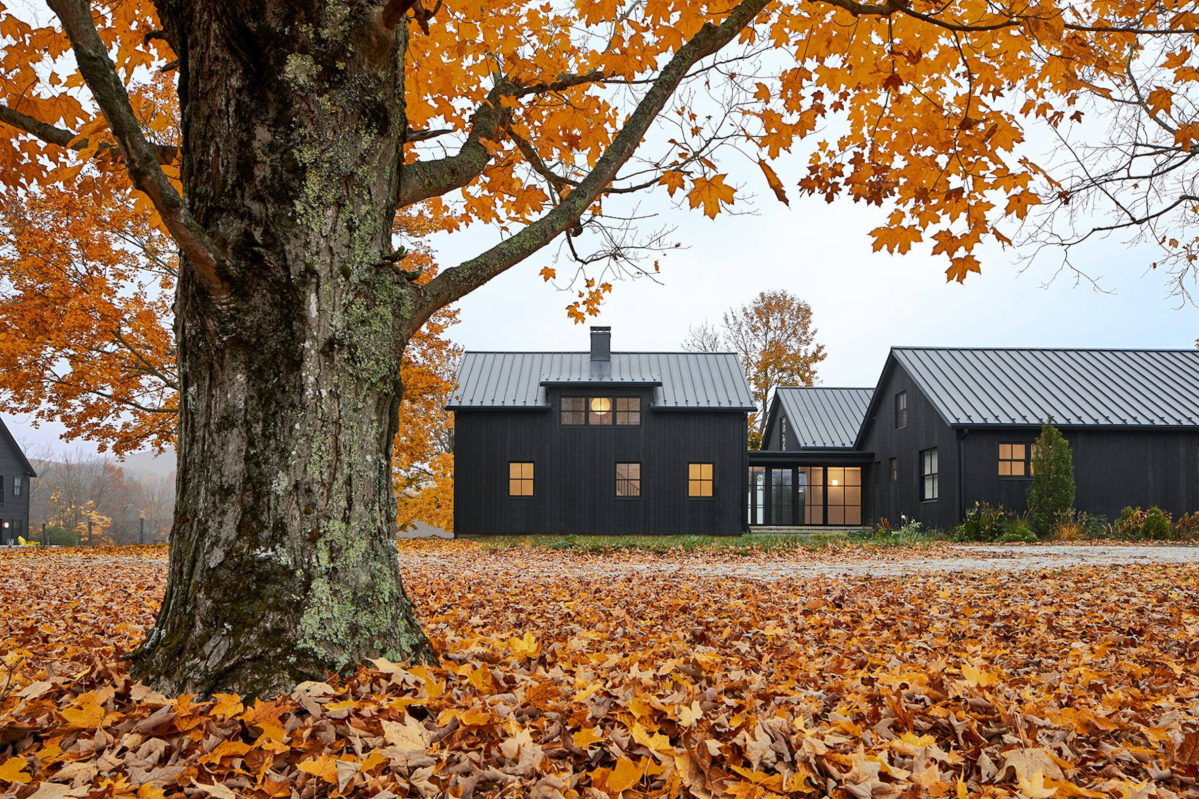 Ted Porter Architecture