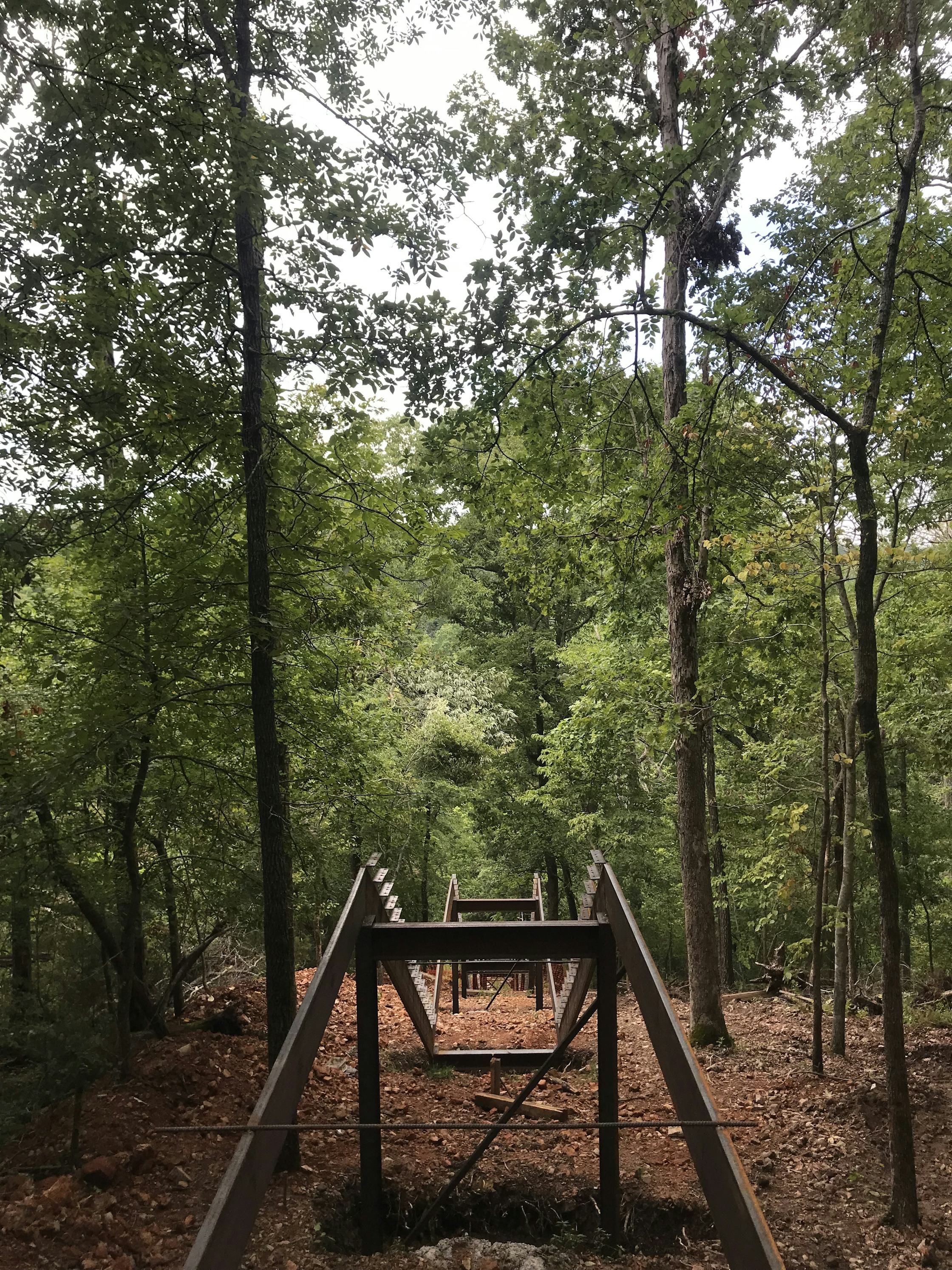 the rise opens at coler. — Modus Studio