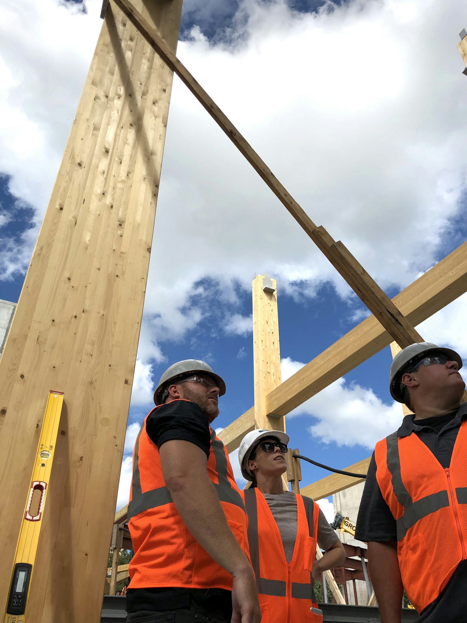 massive, mass timber. — Modus Studio