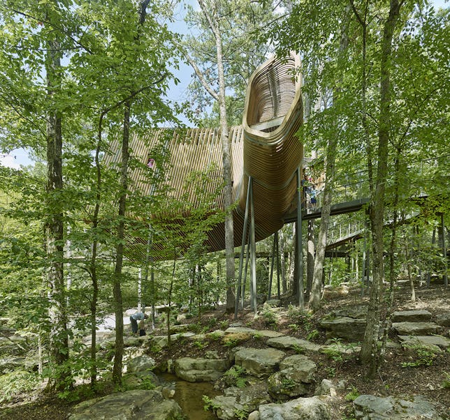 The Evans Tree House at Garvan Woodland Gardens — Modus Studio