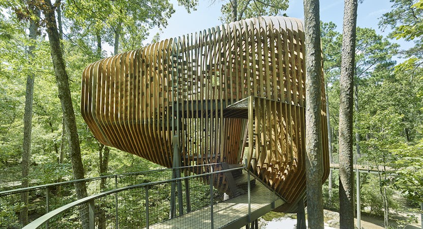 The Evans Tree House at Garvan Woodland Gardens — Modus Studio
