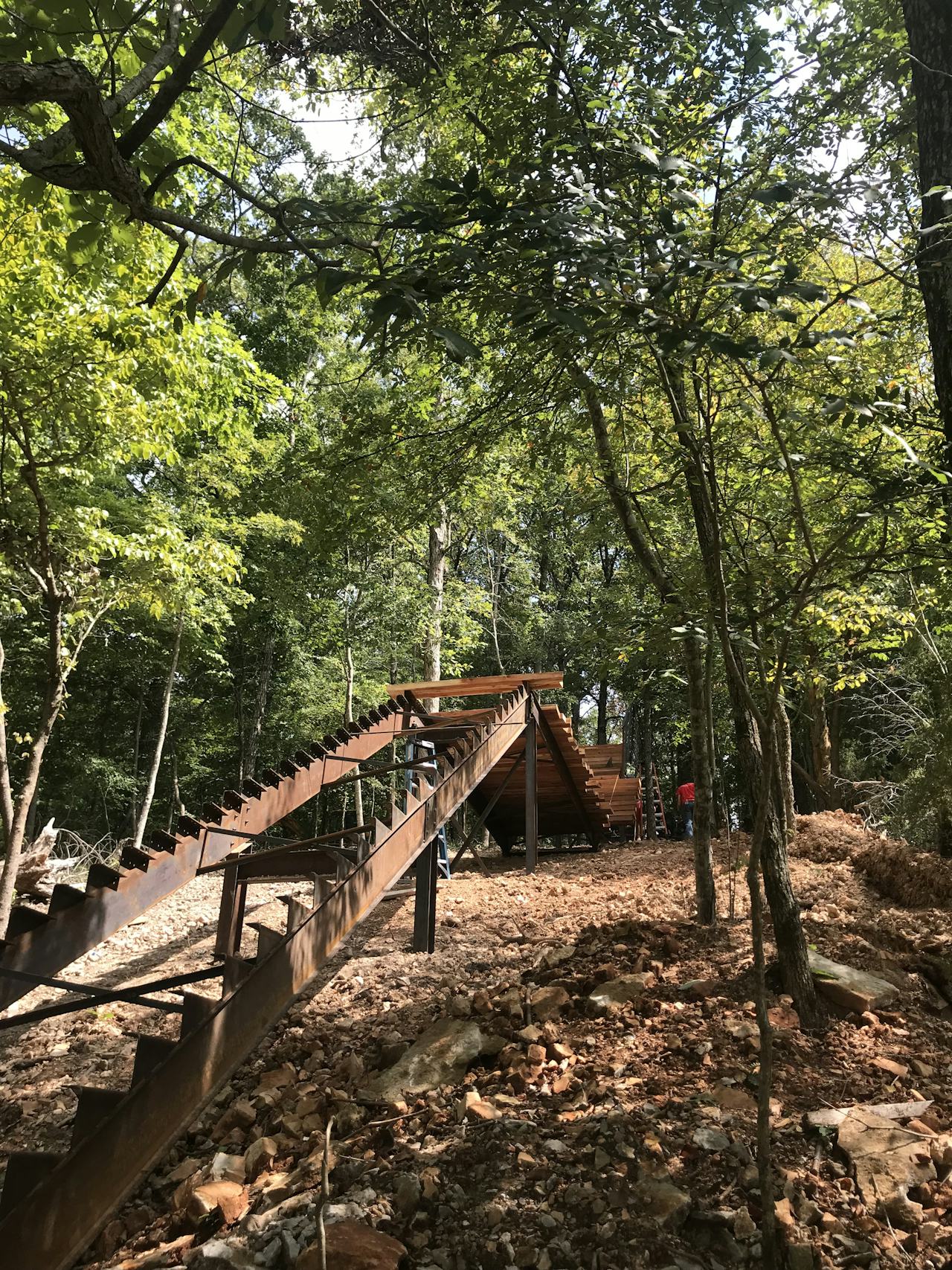 the rise opens at coler. — Modus Studio