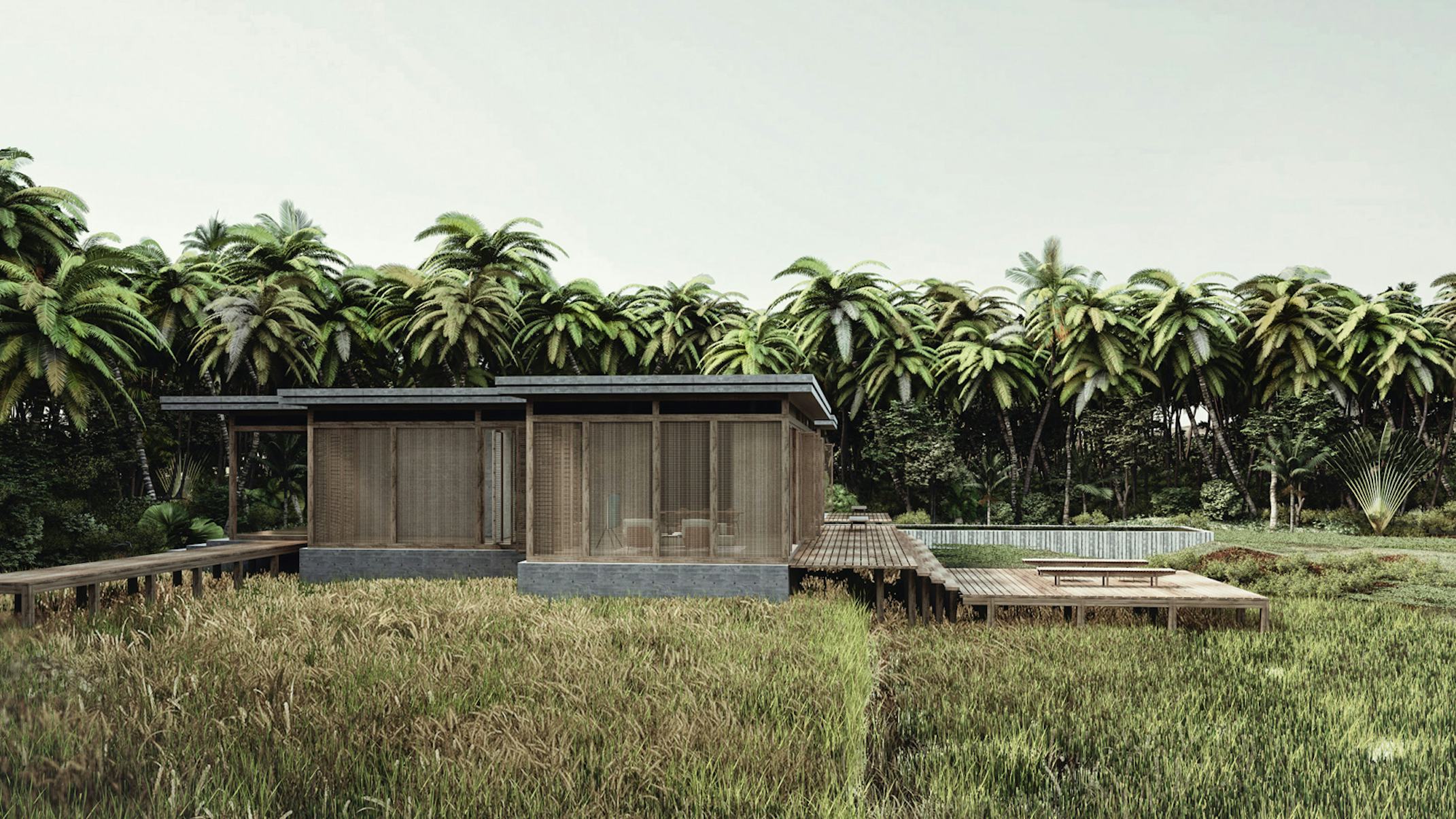 Coconut House — a-designstudio