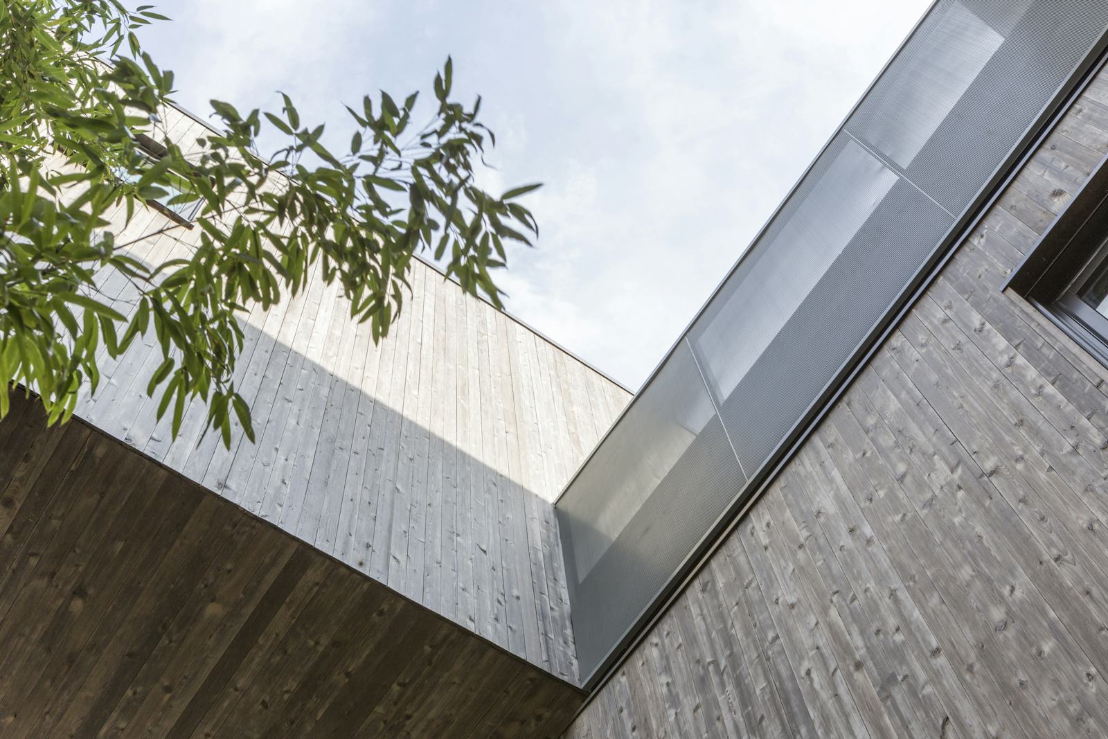 The Starlight Grand Opening in Old Town — Works Progress Architecture