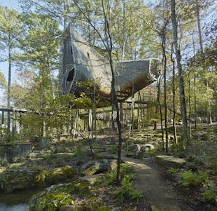 The Evans Tree House at Garvan Woodland Gardens — Modus Studio