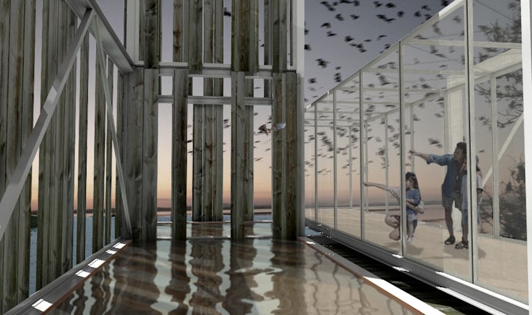 Bat House — Ted Porter Architecture