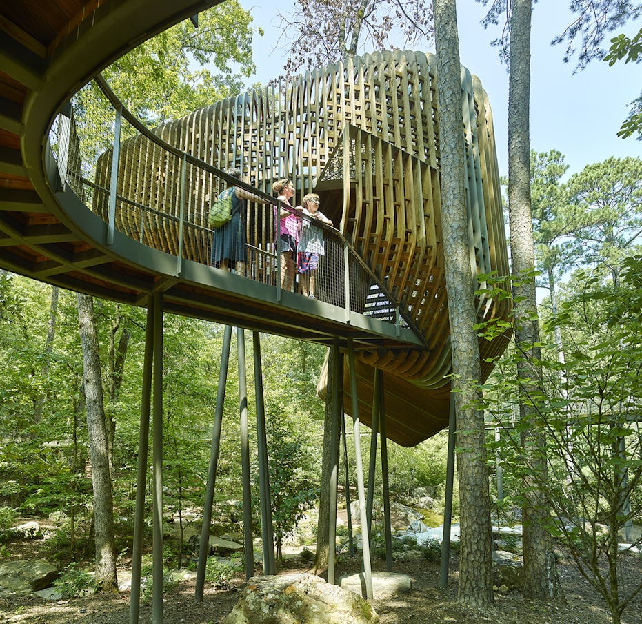 The Evans Tree House at Garvan Woodland Gardens — Modus Studio