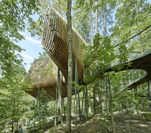 The Evans Tree House at Garvan Woodland Gardens — Modus Studio