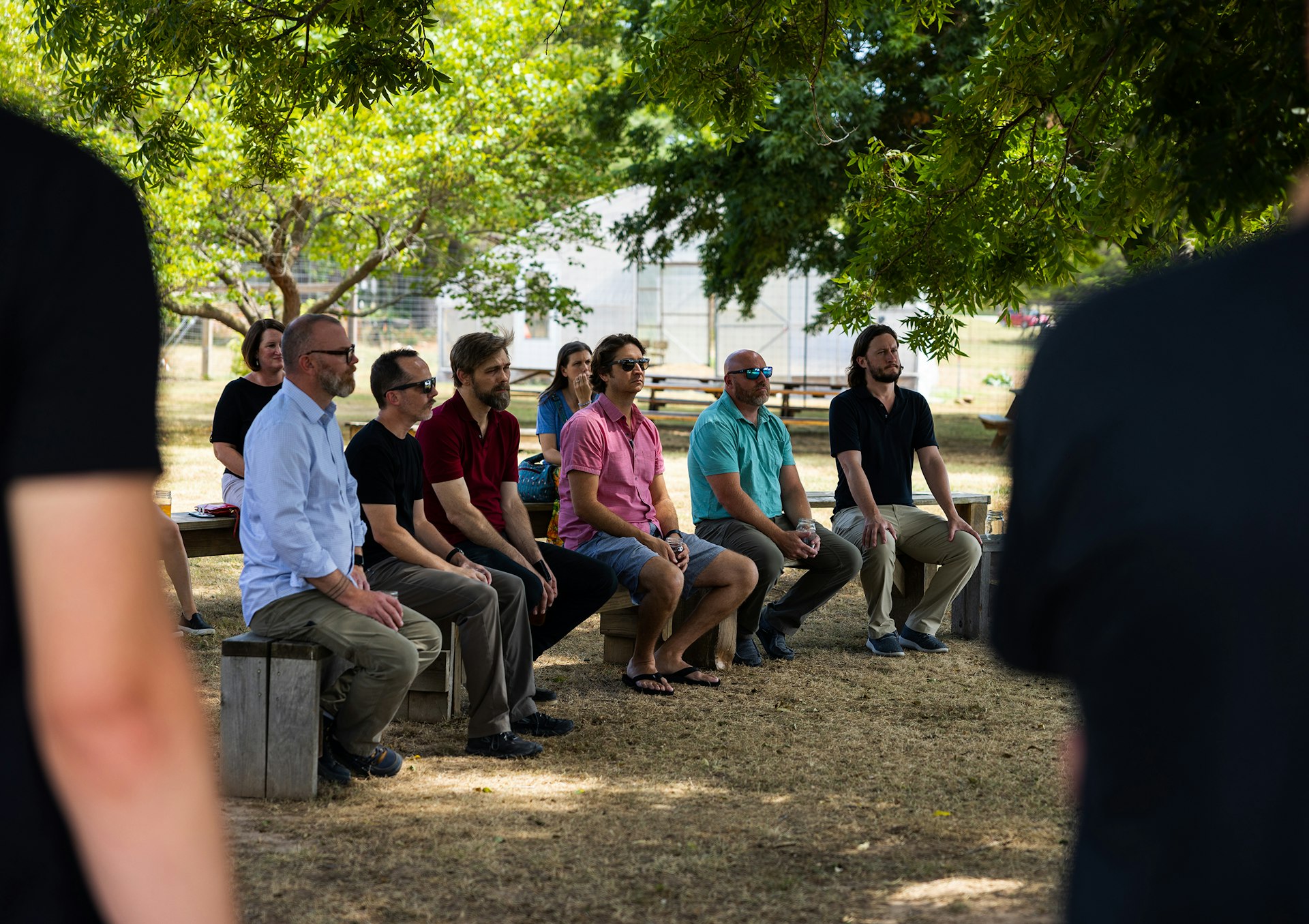 rooted with apple seeds. — Modus Studio