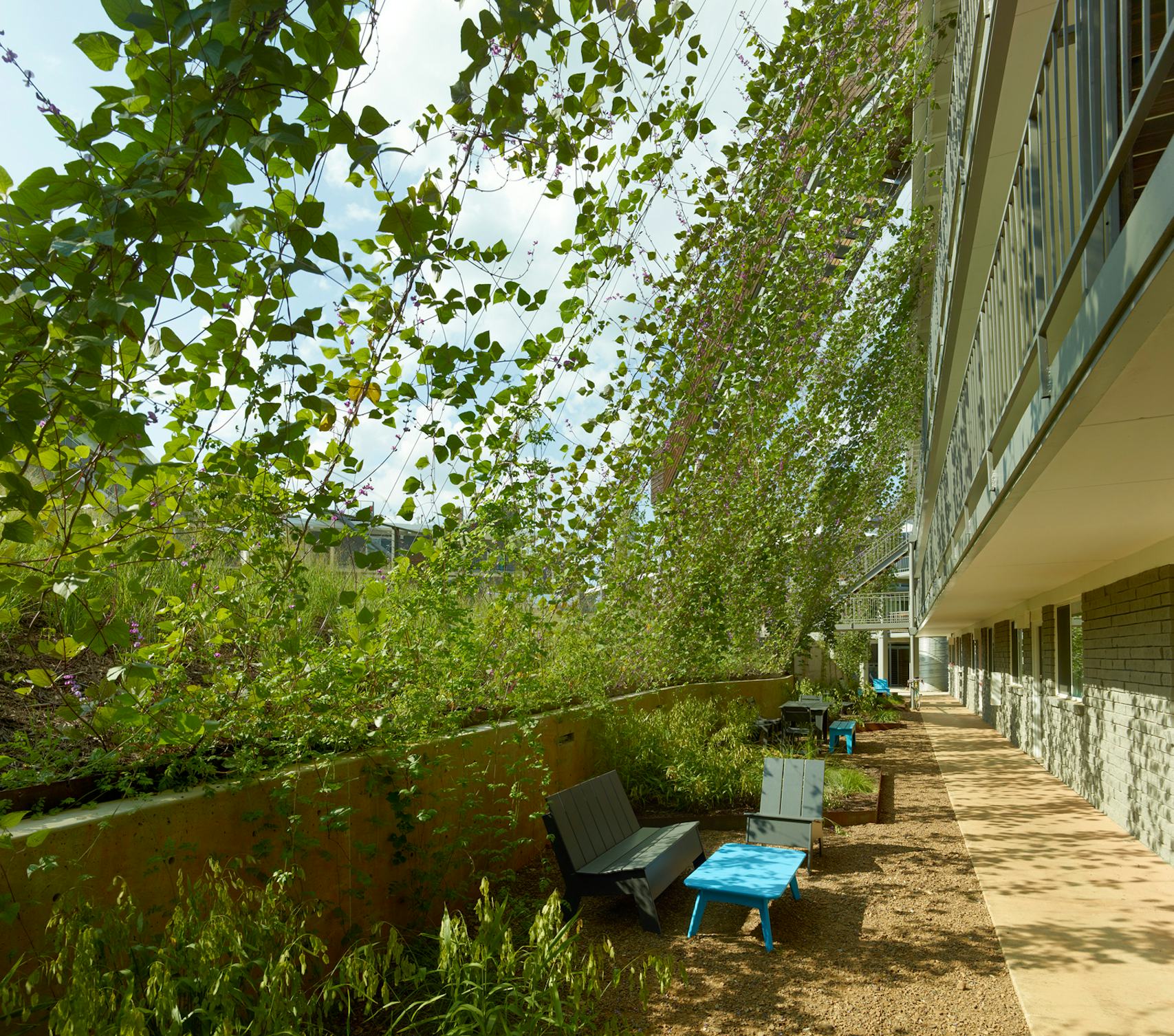Eco Modern Flats — Modus Studio