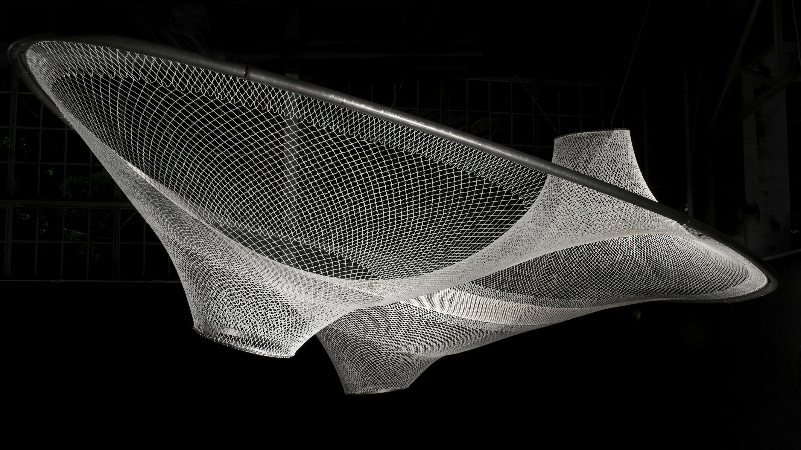 Infundibuliforms — rvtr