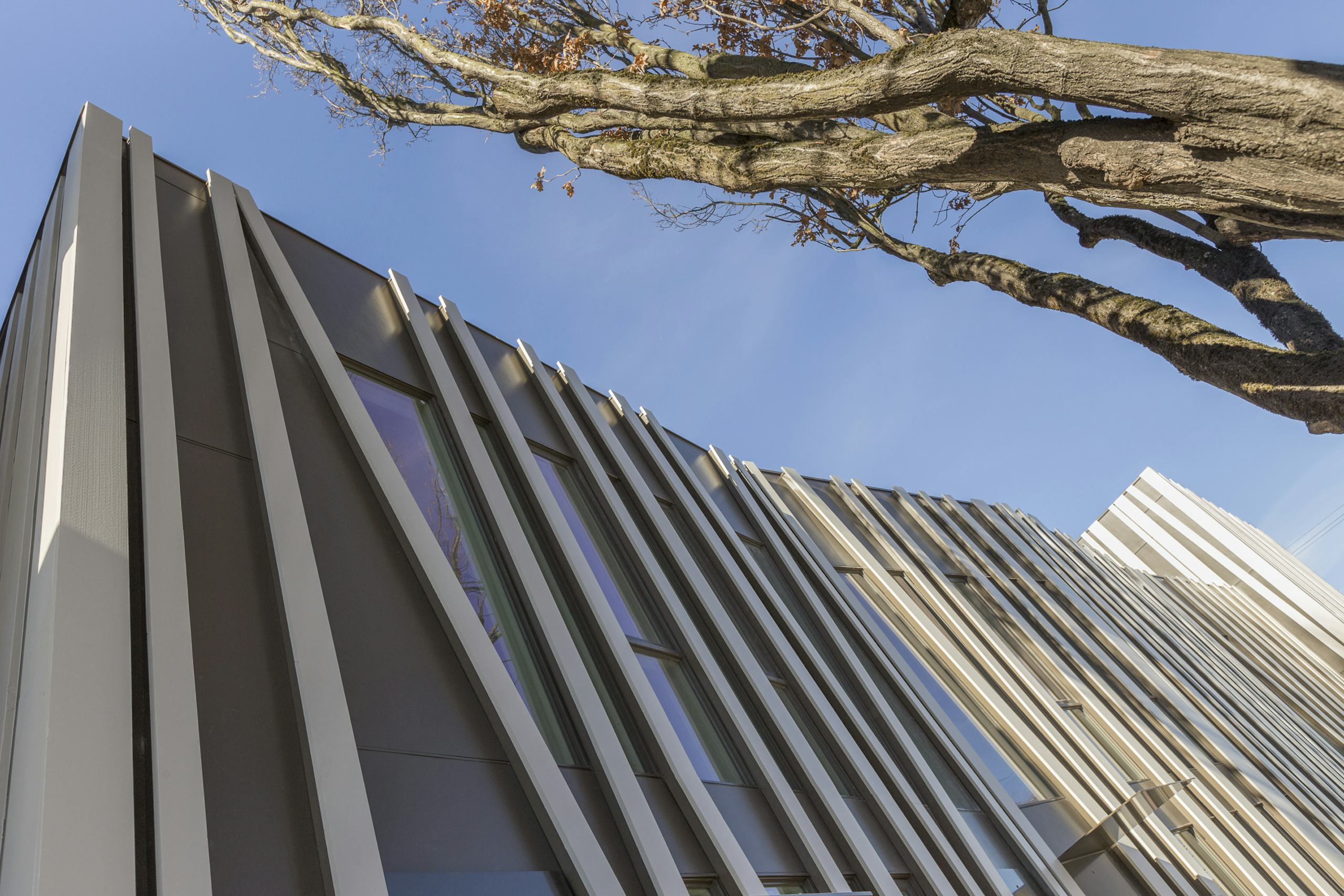 Women. Progress. Architecture. — Works Progress Architecture